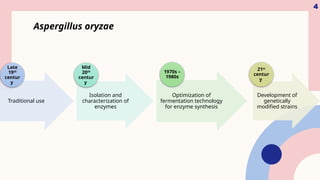 Carbohydrase & Protease from Bacillus subtilis & Aspergillus oryzae.pptx