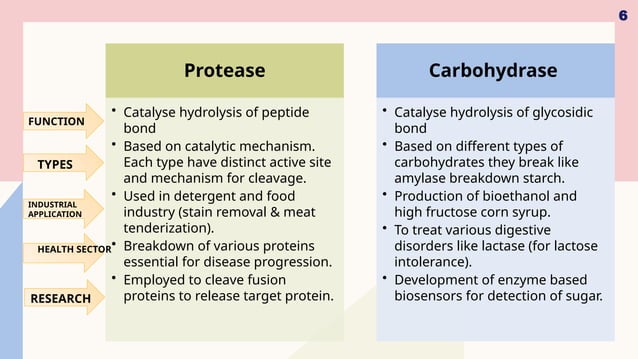 Carbohydrase & Protease from Bacillus subtilis & Aspergillus oryzae.pptx