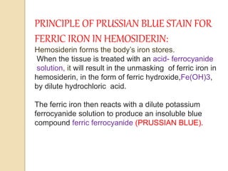 iron staining. | PPTX