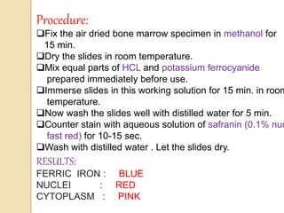 iron staining. | PPTX | Blood Disorders | Diseases and Conditions