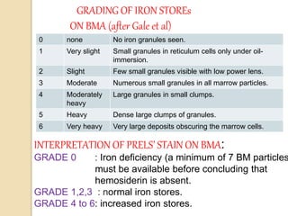 iron staining. | PPTX | Blood Disorders | Diseases and Conditions