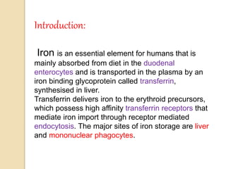 iron staining. | PPTX | Blood Disorders | Diseases and Conditions