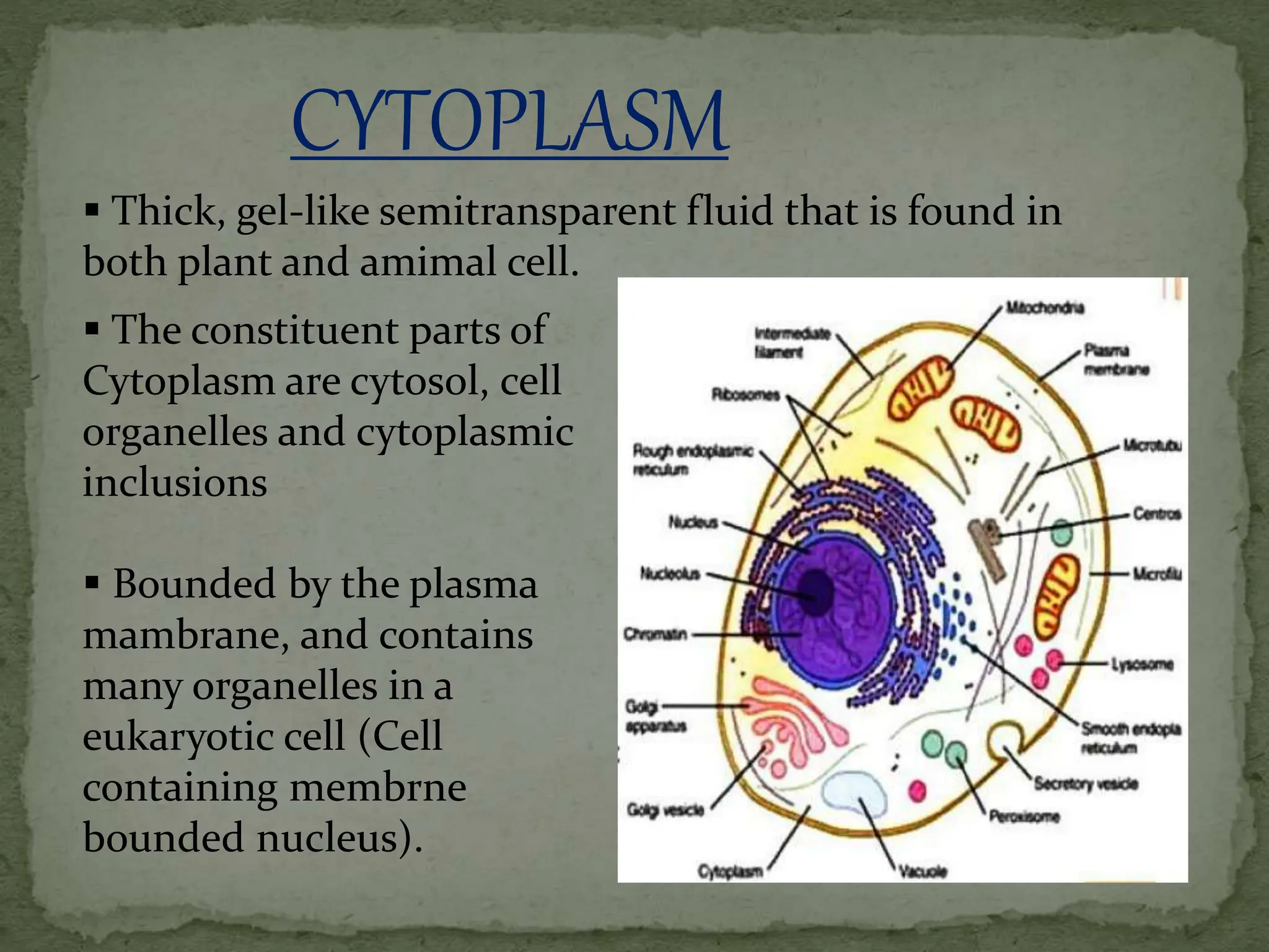 cell Structure and function amannag.pptx