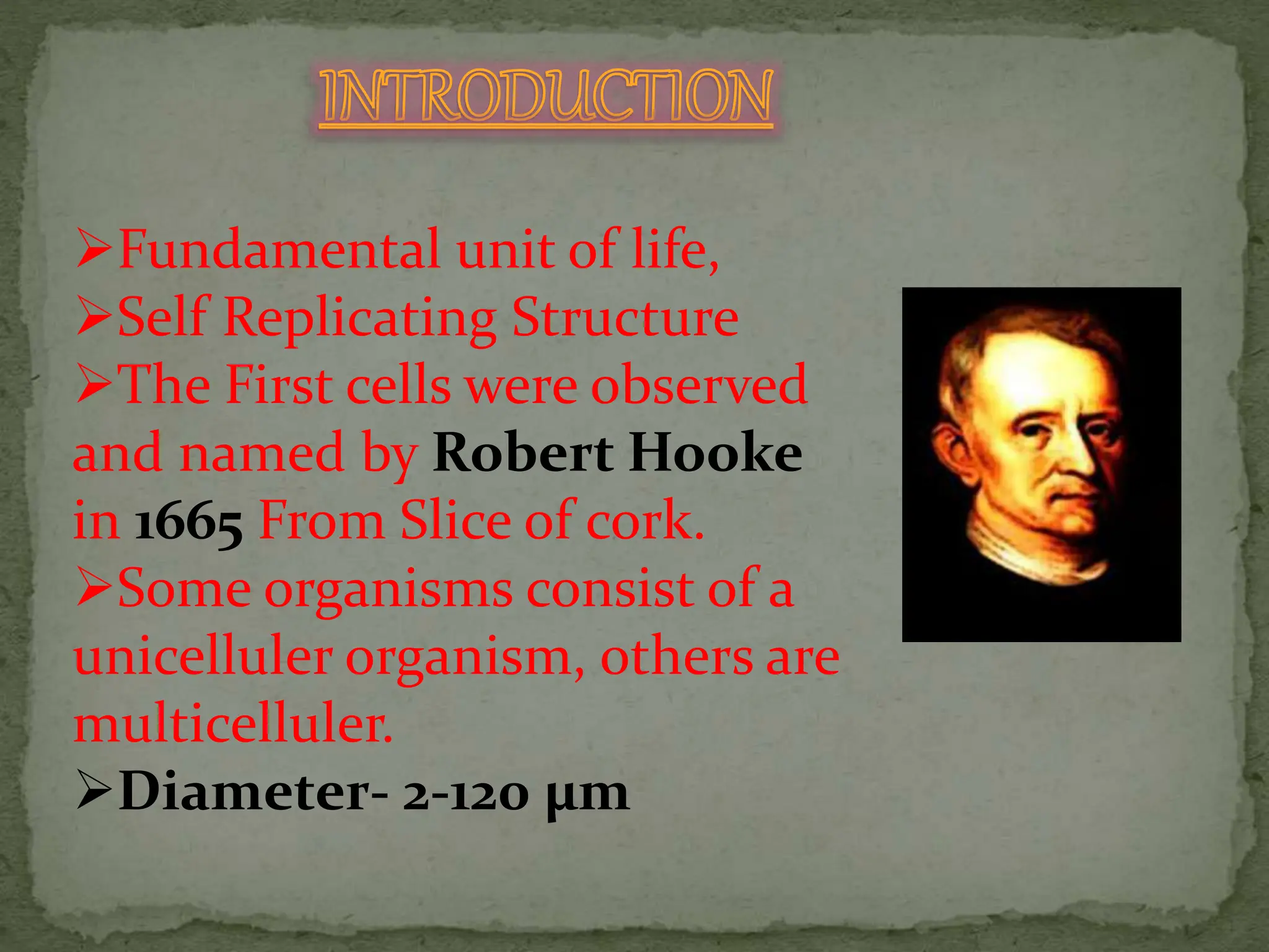 cell Structure and function amannag.pptx