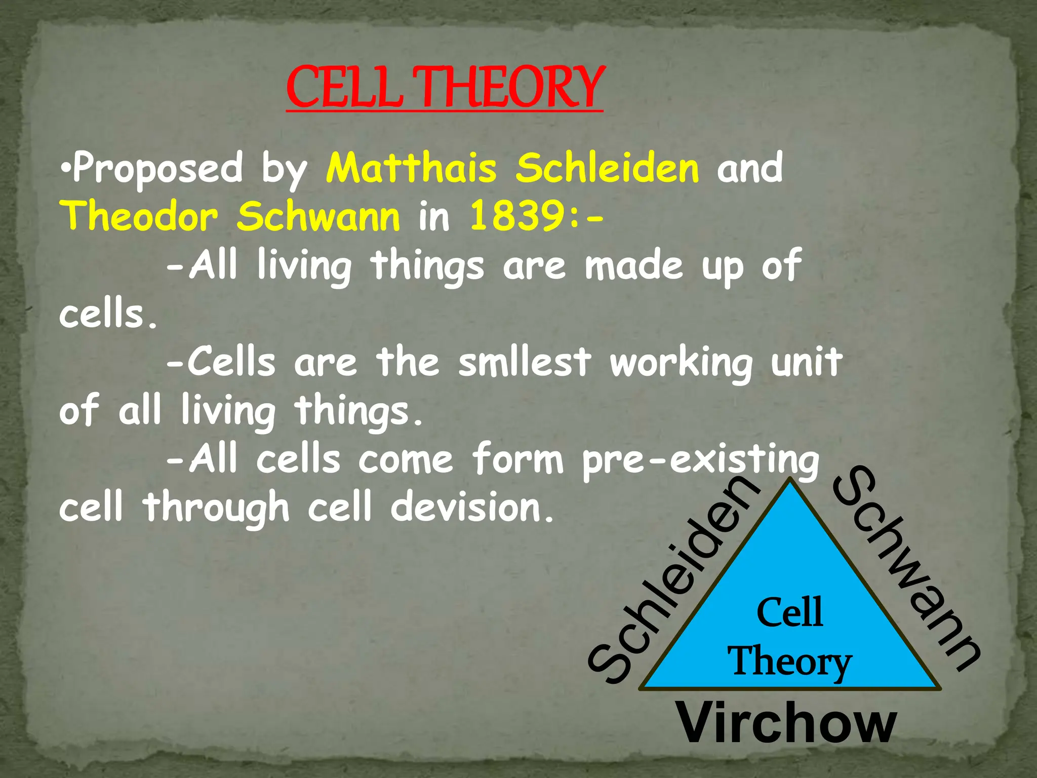 cell Structure and function amannag.pptx