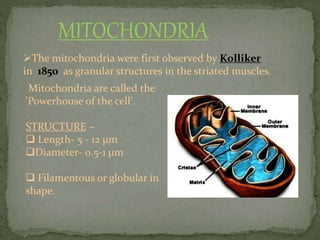 cell Structure and function amannag.pptx