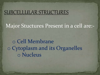 cell Structure and function amannag.pptx