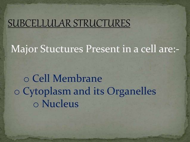 cell Structure and function amannag.pptx