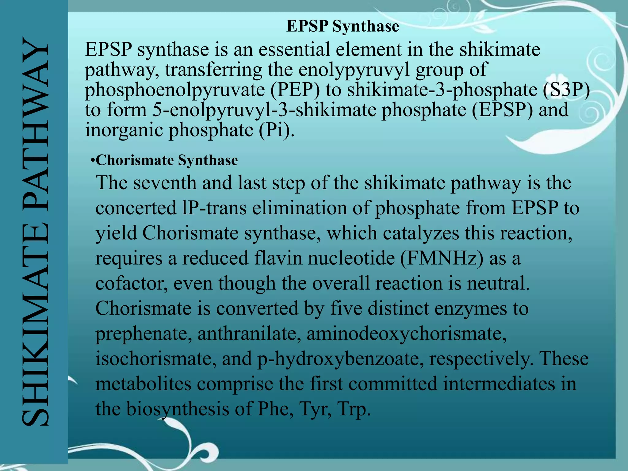 Shikimate pathway by kk sahu sir | PPTX