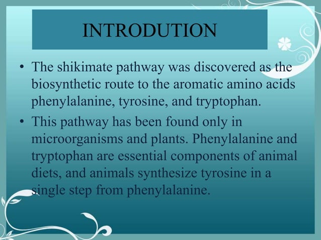Shikimate pathway by kk sahu sir | PPTX