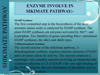 Shikimate pathway by kk sahu sir | PPTX