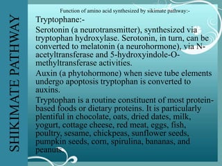Shikimate pathway by kk sahu sir | PPTX