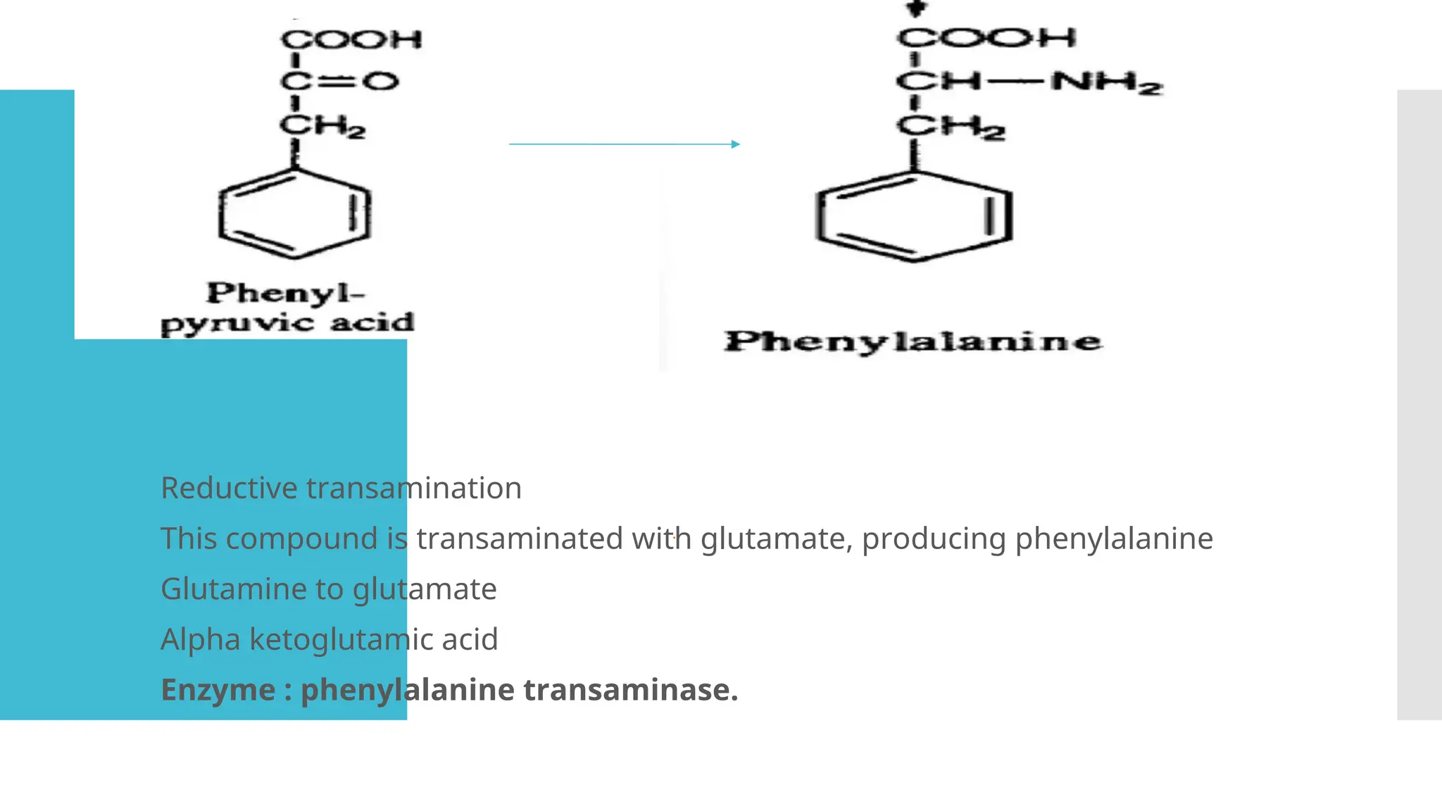 shikimic acid pathway Aromatic amino acid pathway , phenyl propanoid ...