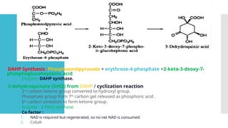 shikimic acid pathway Aromatic amino acid pathway , phenyl propanoid ...