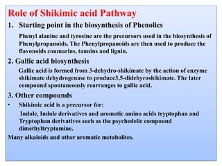 Shikimic acid pathway | PPTX