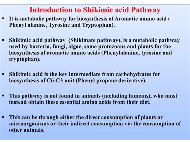 Shikimic acid pathway | PPTX | Science