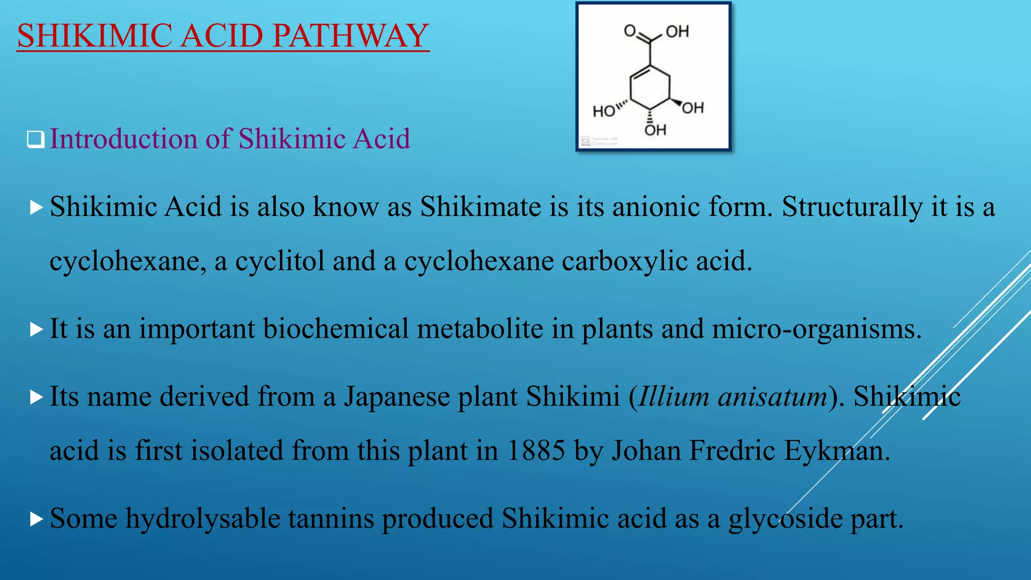 Shikimic acid pathway | PPTX
