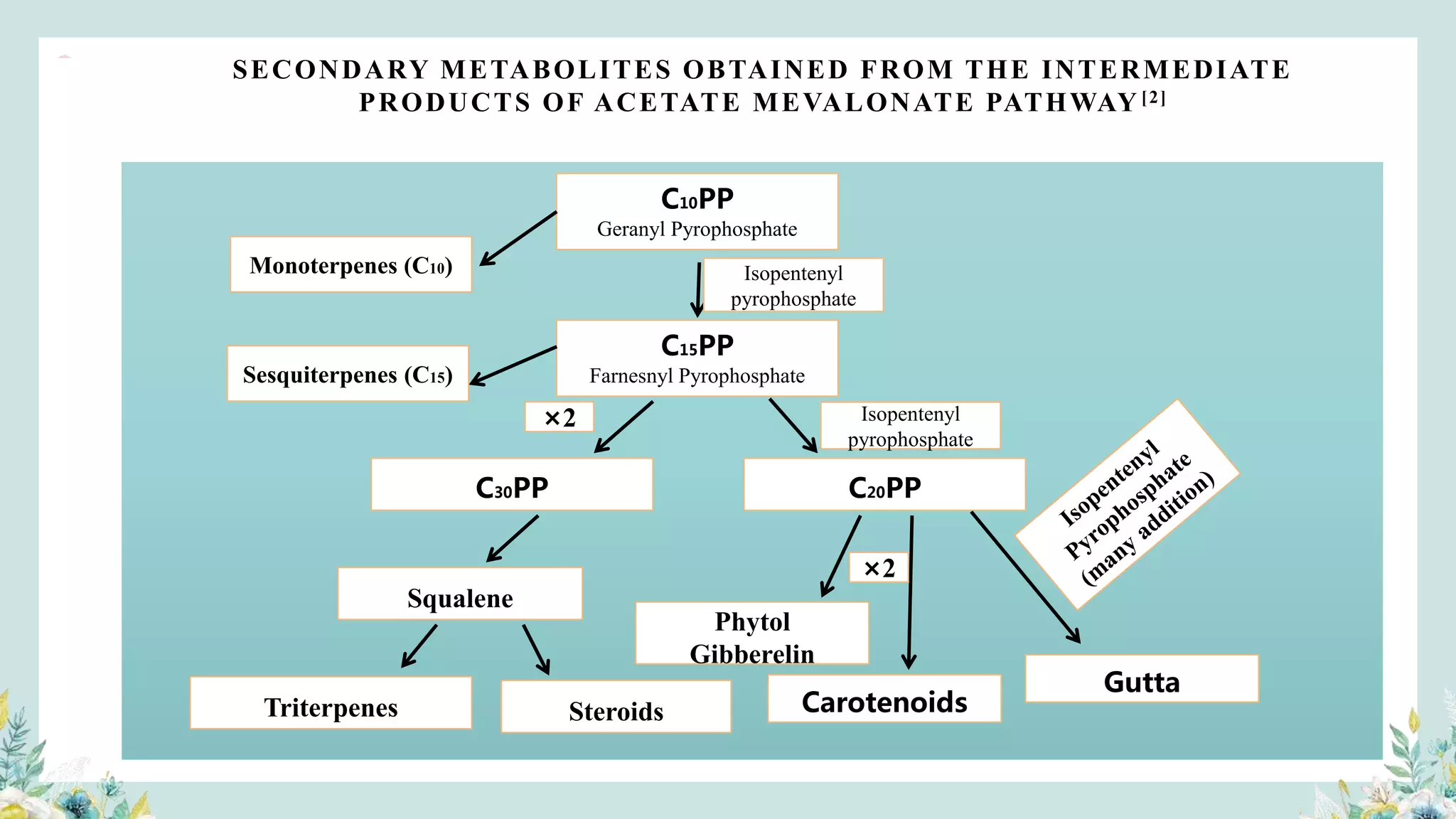 Acetate mevalonate pathway | PPTX