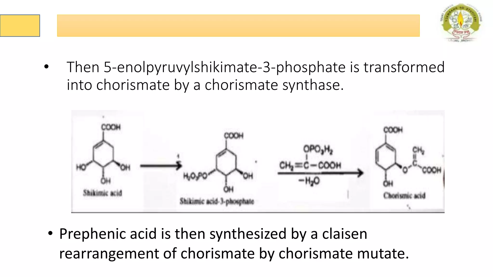 Shikimic acid pathway.pptx