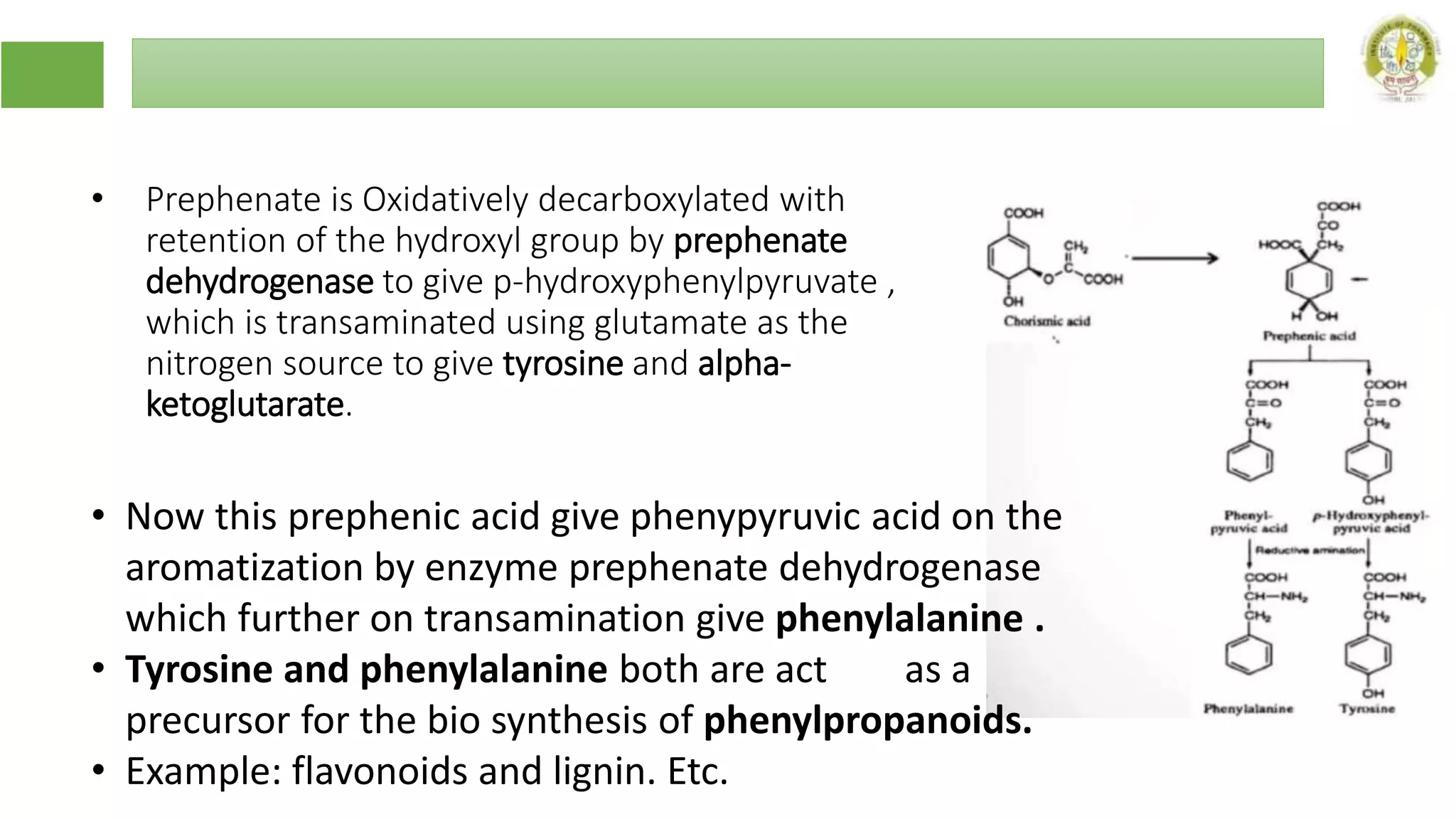 Shikimic acid pathway.pptx