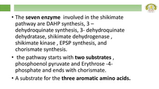 Shikimic acid pathway.pptx