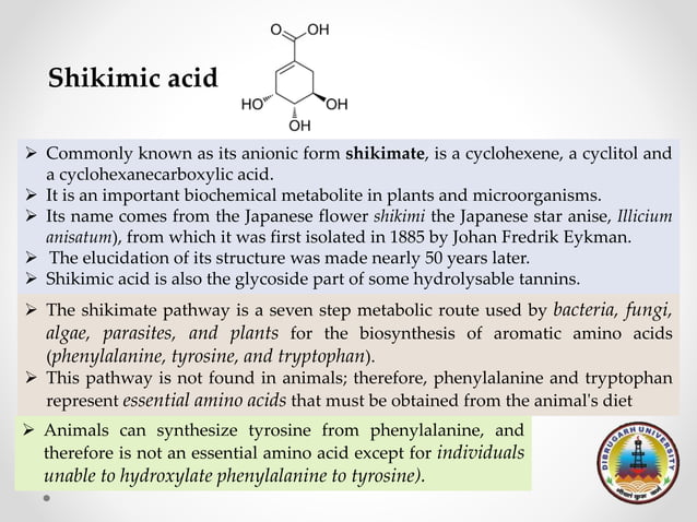 Shikimik acid pathway | PPTX