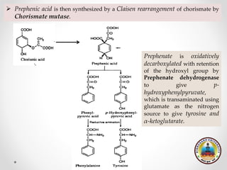 Shikimik acid pathway | PPTX