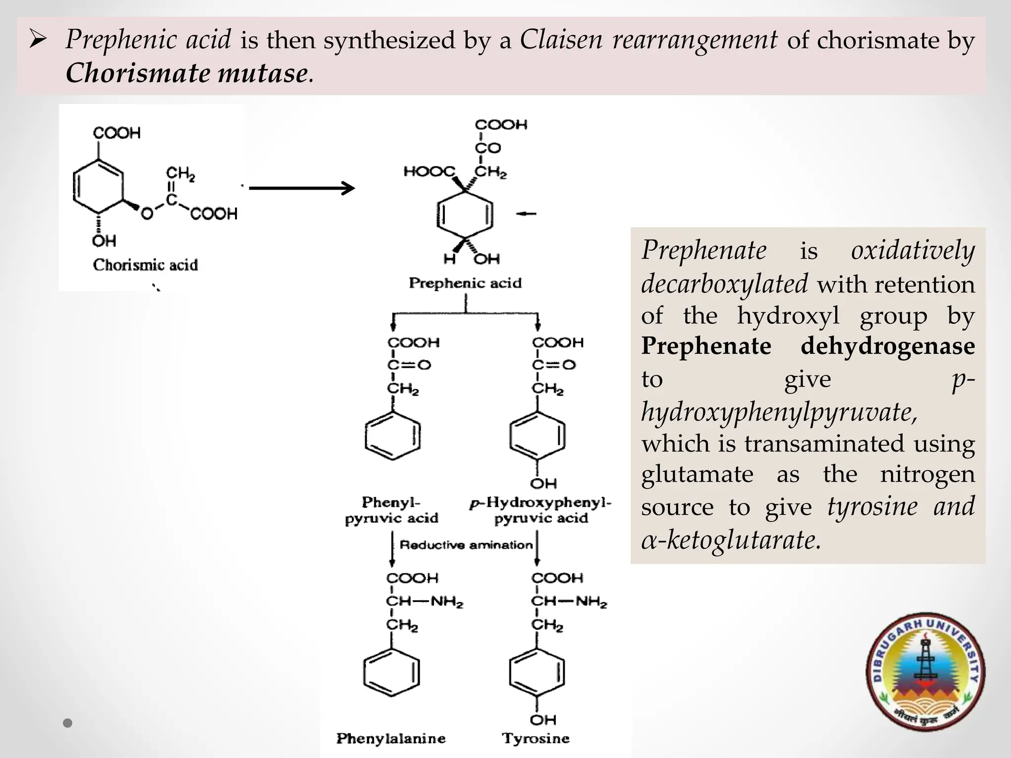shikimikacidpathway-150428115803-conversion-gate01 (2).pdf