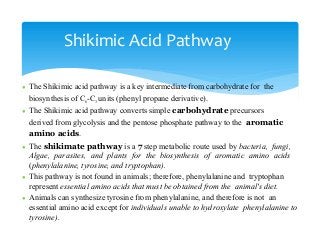 Shikimik acid pathway | PDF