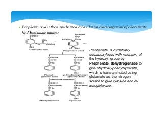 Shikimik acid pathway | PDF