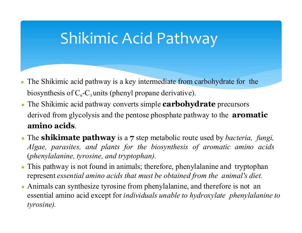 Shikimik acid pathway | PDF