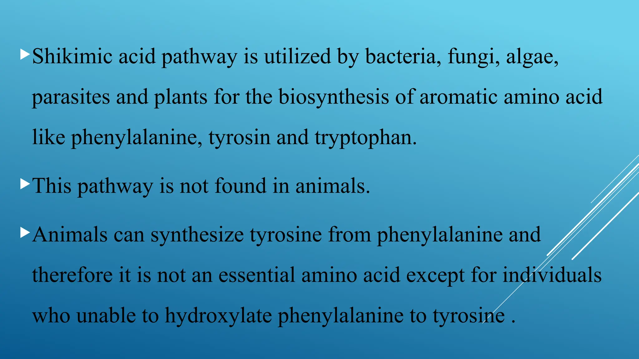 Shikmic acid pathway and acetate pathway | PPTX