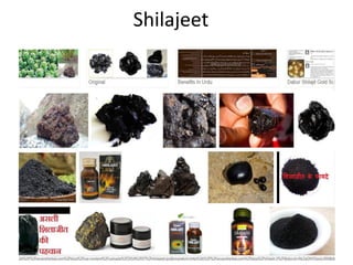 Shilajeet | PDF