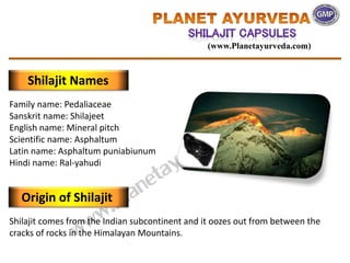 Shilajit - Presentation | PPTX