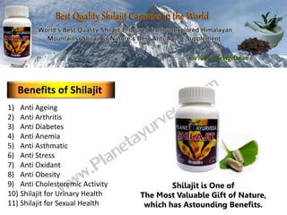 Shilajit - Presentation | PPTX