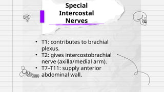 Applied Related to Intercostal Nerves.pptx