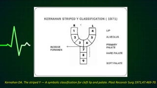 CLEFT LIP AND PALATE | PPTX | Ear, Nose and Throat Conditions ...
