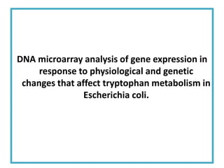 DNA Microarray and Analysis of Metabolic Control | PPT