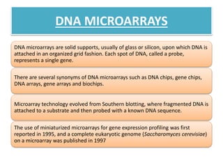 DNA Microarray and Analysis of Metabolic Control | PPT