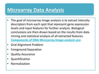 DNA Microarray and Analysis of Metabolic Control | PPT