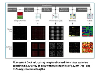 DNA Microarray and Analysis of Metabolic Control | PPT