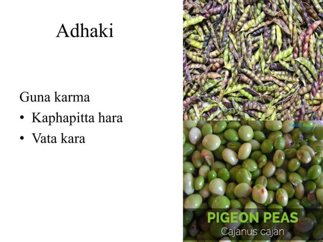 Shimbi dhanya Varga and Comparison with todays food items Ayurveda ...