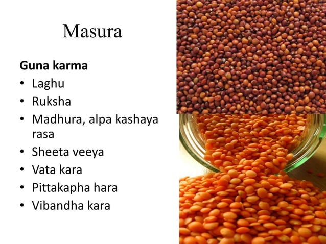 Shimbi dhanya Varga and Comparison with todays food items Ayurveda ...