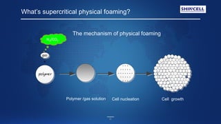 Shincell-Application of TPU, TPEE, PEBA in shoe materials.pdf