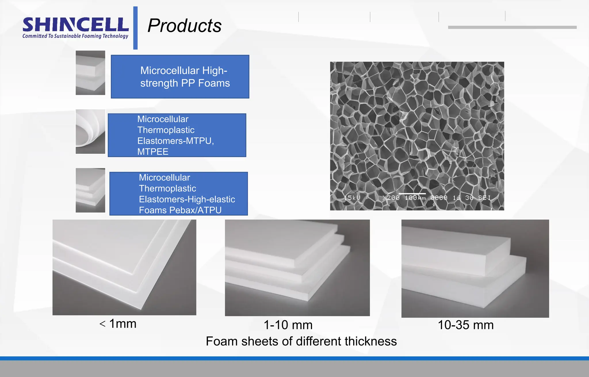 Shincell-Introduction with MPP and PVDF230411.pdf