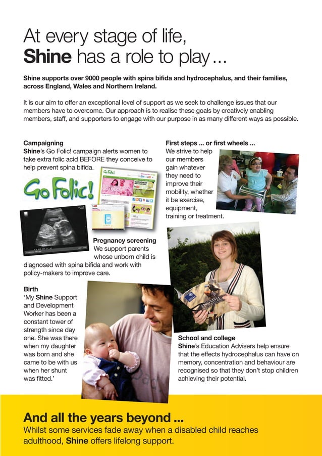 Shine fundraising brochure - Denny | PDF