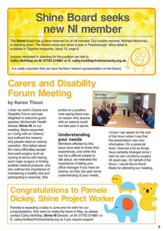 Shine Northern Ireland newsletter - Summer 2014 | PDF