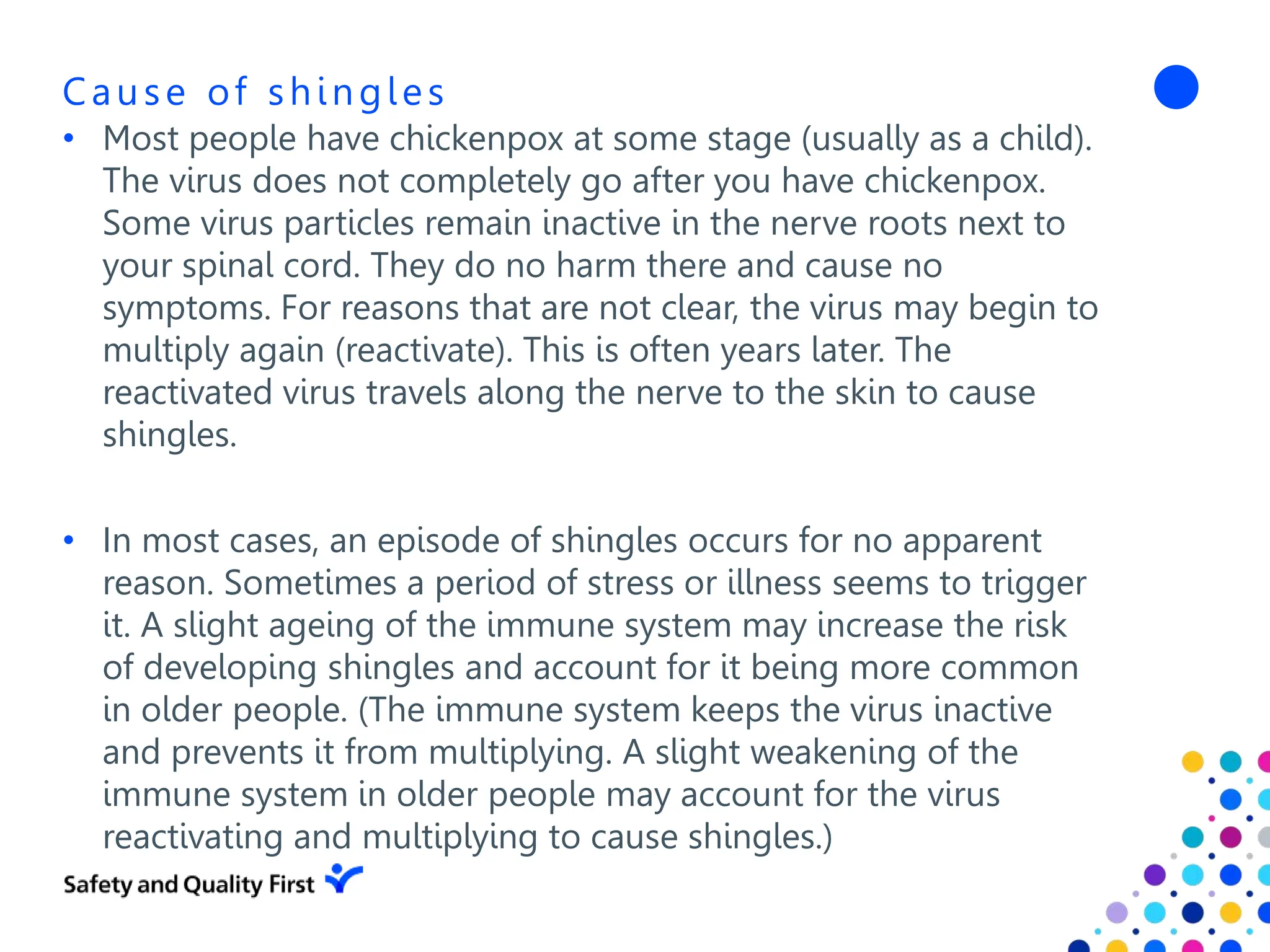 The Shingles Diseases Presentation.pptx