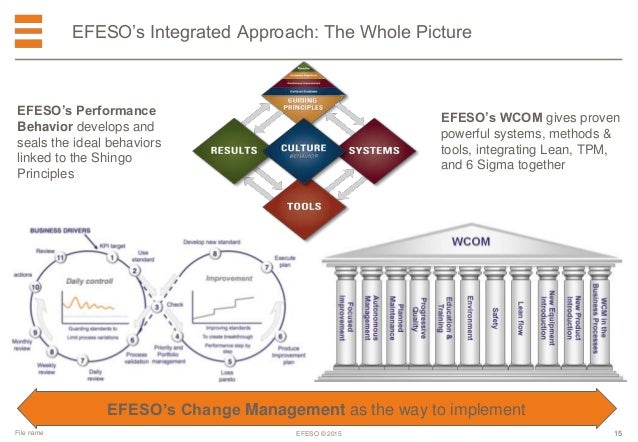 EFESO Consulting and the Shingo Institute. Why?