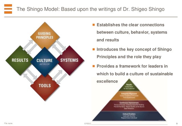 EFESO Consulting and the Shingo Institute. Why?